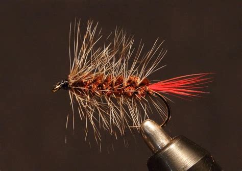 The Wooly Worm 1 In My Beginning Fly Tying Series Fly Tying Fly Tying Patterns Fly