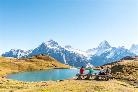 스위스여행 그린델발트 피르스트 총정리 플라이어 마운틴카트 트로티바이크 바흐알프제 네이버 블로그