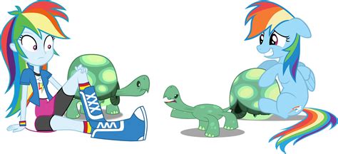 Papel De Parede Humano Rainbow Dash Rainbow Wall 1080p 2k 4k 5k Hd