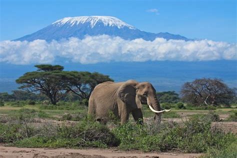 Landmarks In Africa African Landmarks Geography Travel Africa