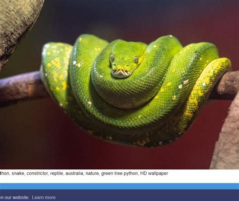 What Will Be The Output Of The Following Python Code