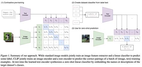 Multimodality And Large Multimodal Models Lmms