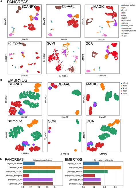 A Deep Learning Adversarial Autoencoder With Dynamic Batching Displays