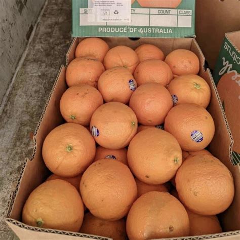 Jual Jeruk Sunkist 500 Gram Shopee Indonesia