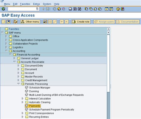 Automatic Payment Program In Sap