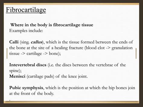 Cartilage Structure And Its Function Pptx