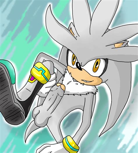 Rule 34 Balls Big Penis Boots Color Foreskin Fur Glans Gloves Hedgehog Looking At Viewer Male