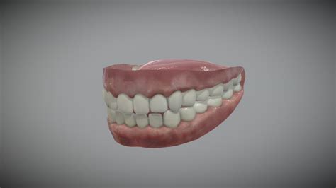 Tooth 3d Model