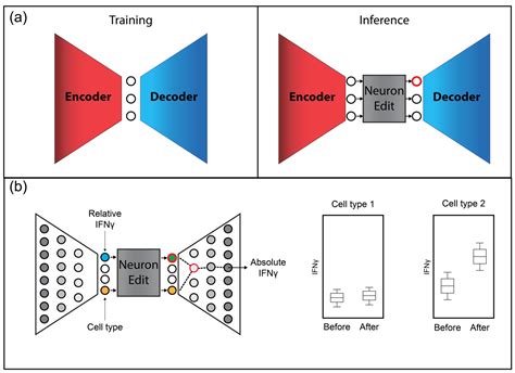 Out Of Sample Extrapolation With Neuron Editing Image