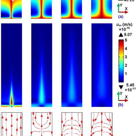 Xiaodong Ma Professor Doctor Of Philosophy University Of Science