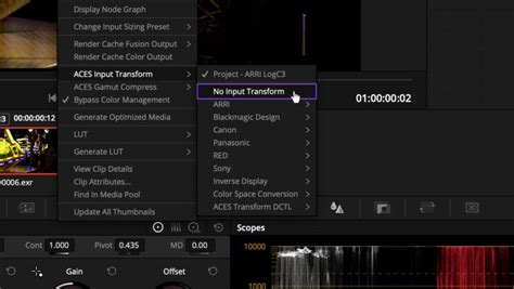 ACES Fixing Those Color Management Issues Frame Io Insider