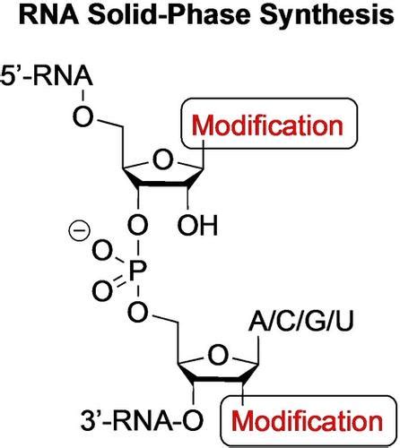 修饰 Rna 的化学合成angewandte Chemie International Edition X Mol