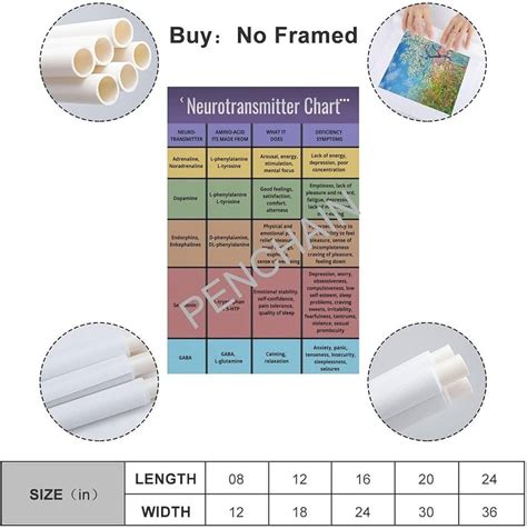 Neurotransmitter Chart