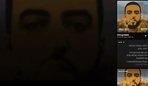 beautiful lyrics extension is not working r spicetify