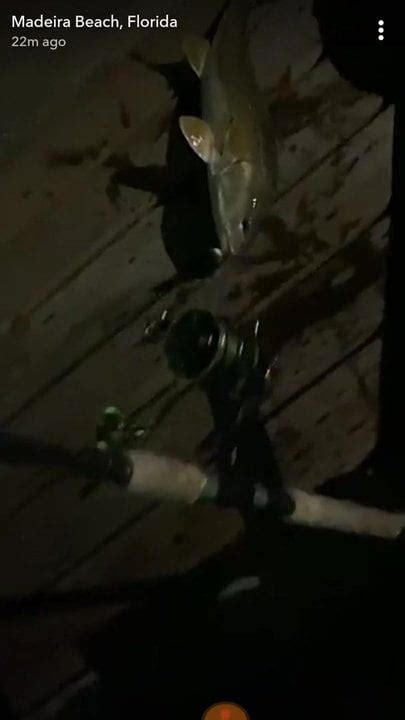 Nudes Found On Snapmaps 13 Free Naked Nudes Hd Porn 62 Xhamster