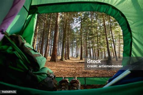 여름 풍경의 소나무 숲에 있는 텐트 내부의 전망 여행자 녹색 텐트 여름 숲 안의 관광 텐트 숲의 여름 휴가 텐트 내부 전망 캠핑 야외 캠핑 0명에 대한 스톡 사진 및 기타