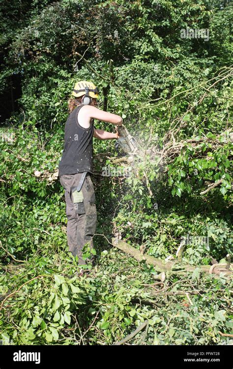 Male Tree Surgeon Using A Chainsaw Stock Photo Alamy