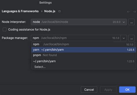 npm pnpm and yarn intellij idea documentation