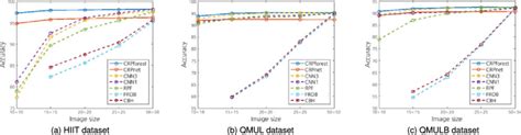 accuracy of head pose estimation algorithms on different sizes of test