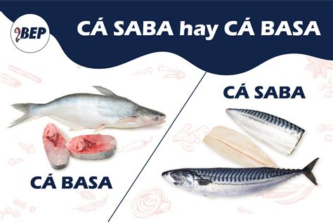 Cá Basa Là Cá Sông Hay Biển Tìm Hiểu Nguồn Gốc Và Bí ẩn Của Loài Cá