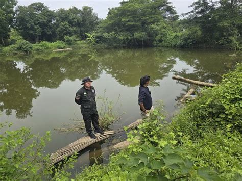 ในประเทศ พญาเสือลุยตรวจแหล่งซุกไม้เถื่อนพบของกลางเพียบขีดเส้นนำเอกสารมาแสดงภายใน 15 กค นี้