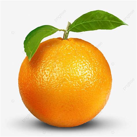 Clipart De Fruits Orange Délicieux En Psd Et Png