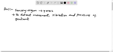 SOLVED What Is The Lateral Line System In Fishes How Does It Numerade