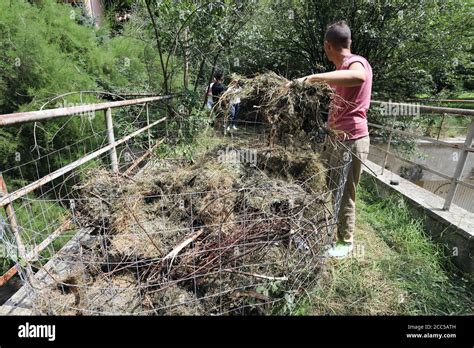 Organic Composter People Are Making Bio Composter Bin In A Yard Stock