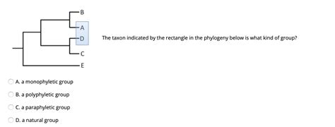 Solved B A D The Taxon Indicated By The Rectangle In The