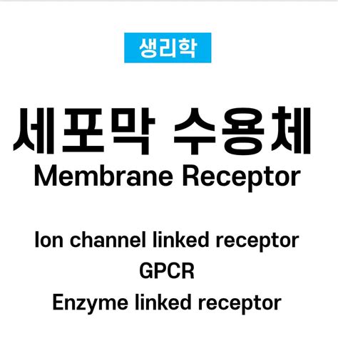 세포막 수용체 3가지 Membrane Receptor Cell Surface Receptor 의학당