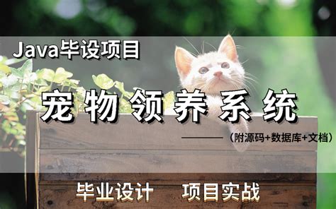 Java项目—宠物领养系统（附源码课件文档） 知乎