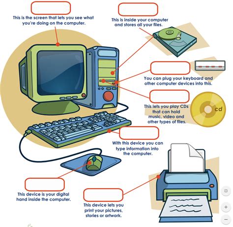 Basic Computer Parts Diagram Quizlet