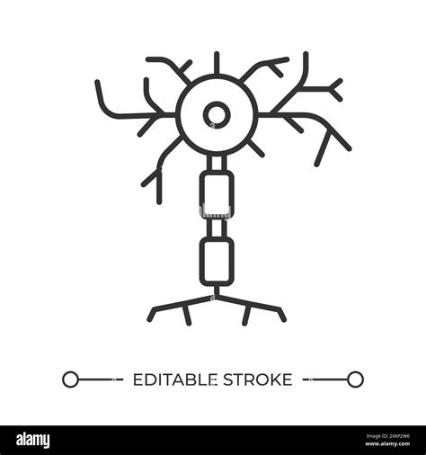 Neuron Linear Icon Stock Vector Image And Art Alamy