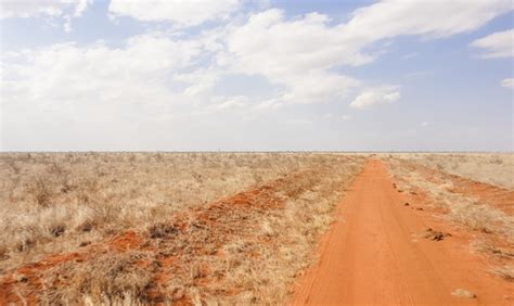 Sabana Africana En Kenia Flora Y Fauna De África Foto De Stock Y Más