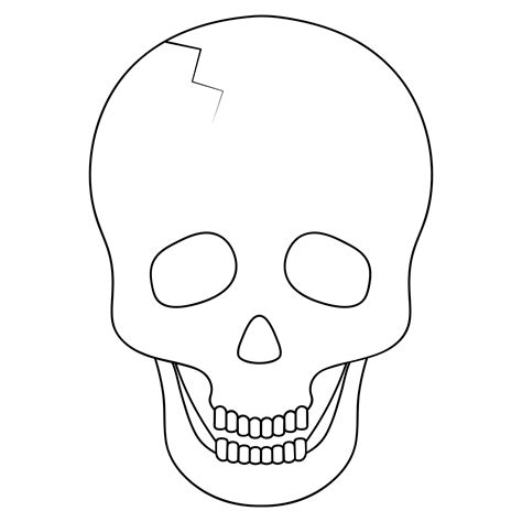 Human Skull Crack In The Skull Sketch Jaw With Straight Teeth Hollows Instead Of Eyes And