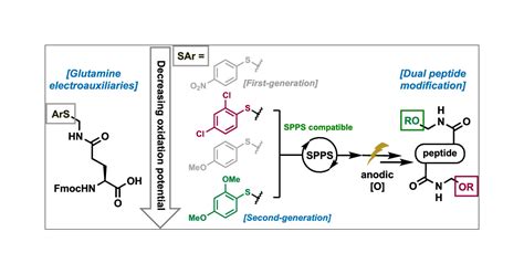 Fine Tuning Electroauxiliary Mediated Peptide Modifications Using
