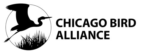 2024 Chicago Bird Photography Contest — Chicago Bird Alliance Formerly