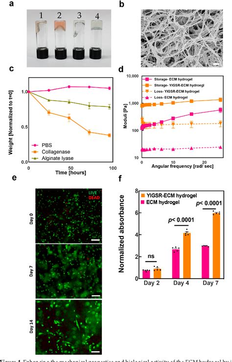 Figure 4 From Modified Ecm Based Bioink For 3d Printing Of Multi Scale