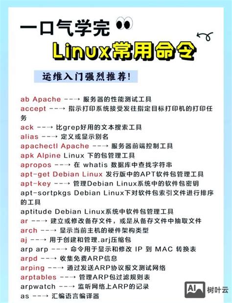 Linux下如何快速准确查看网卡型号？ 树叶云