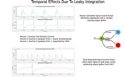 Working On A Presentation Wondering What You Good People Might Think Of It R Compmathneuro