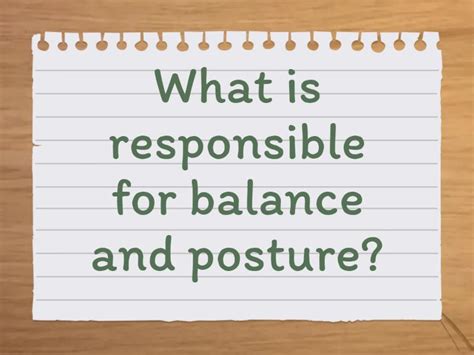 Brain Functions Flash Cards