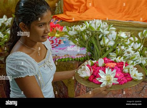 08 28 2008 Devotees Offering Flower To Statue Of Lord Buddhas Nirvana