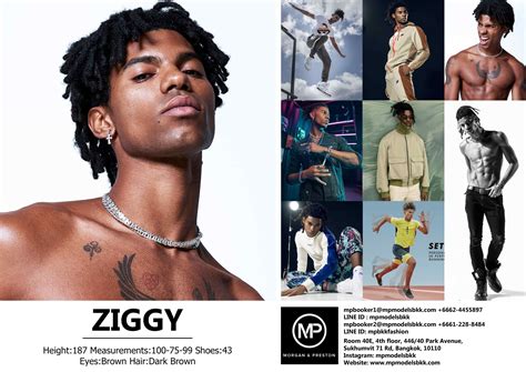 Ziggy Model