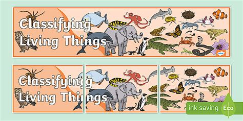 Classifying Living Things Display Banner Teacher Made