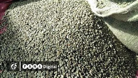 ከቡና ወጪ ንግድ ከ2 ነጥብ 24 ቢሊየን ዶላር በላይ ገቢ ተገኘ Welcome To Fana Media