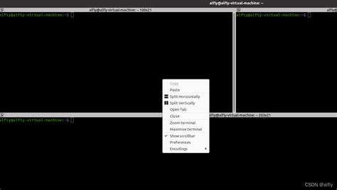 Linux安装terminatorlinux Terminator Csdn博客