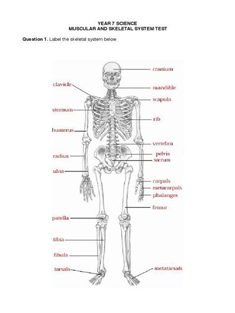 Year 7 Science Test Pdf