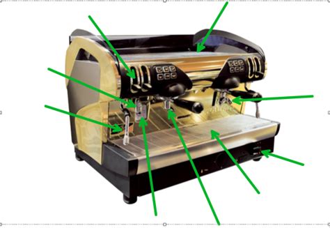 Coffee Diagram Quizlet