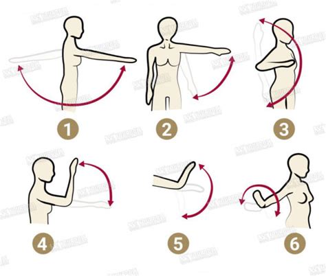 The Ultimate Sex Dolls Buyer Guide For 2025 Your Doll