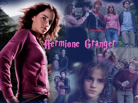 Hgg Hermione Granger Wallpaper 24495098 Fanpop